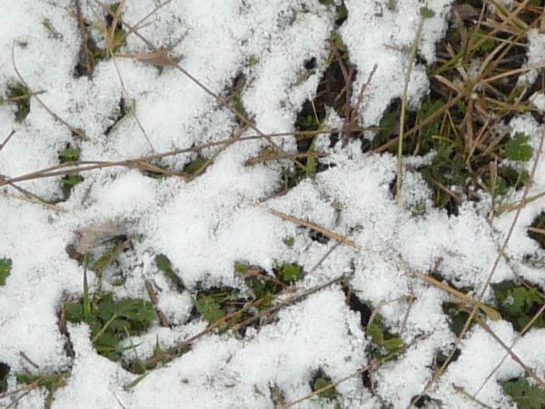 frozen ground texture 0011 - Texturelib